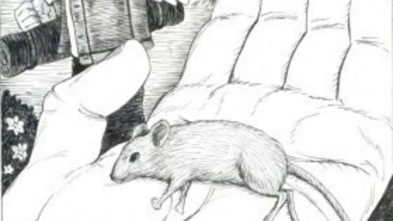 Bunkhouse Of Mice and Men - A Symbol of Loneliness and Power
